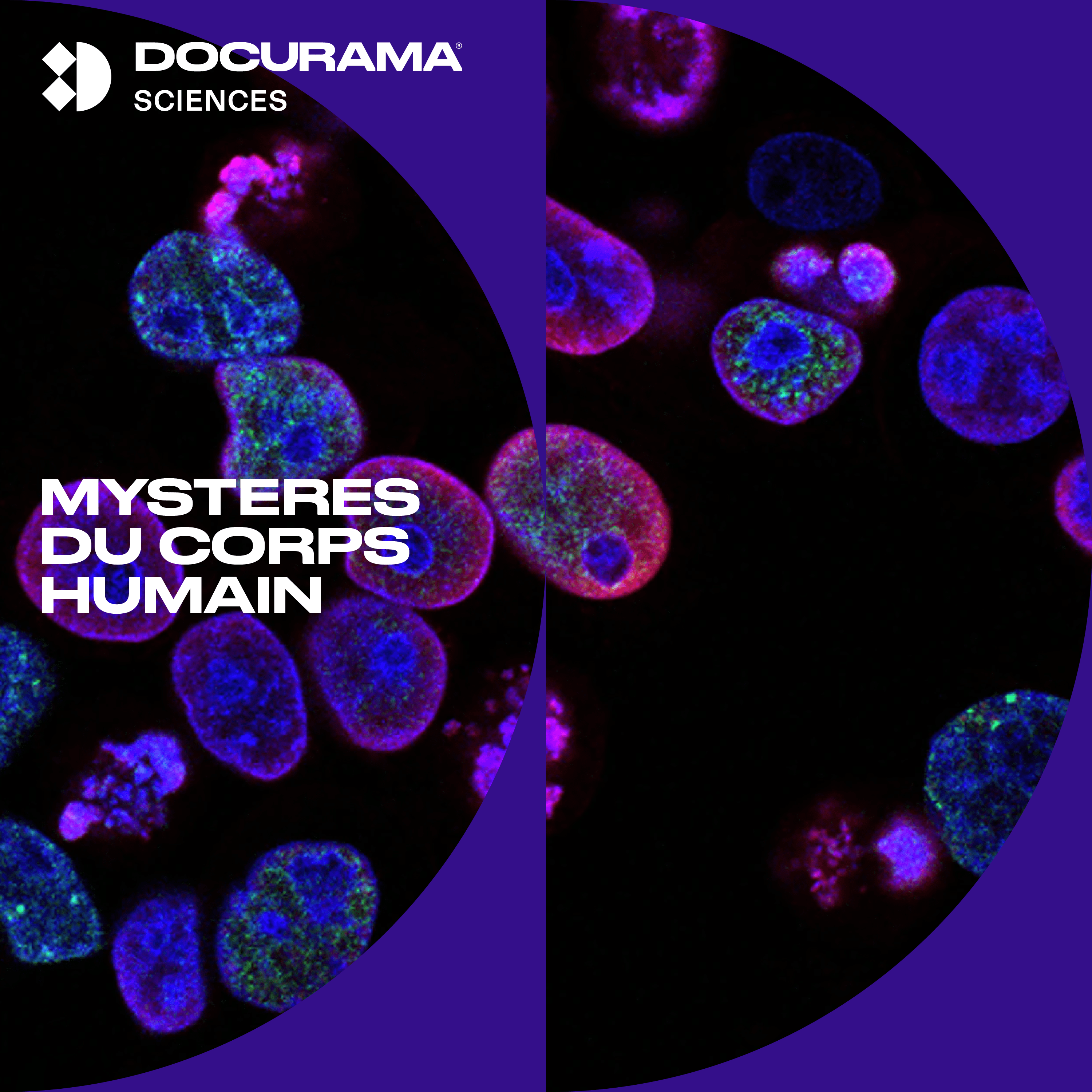 Mystères du corps humain | Docurama