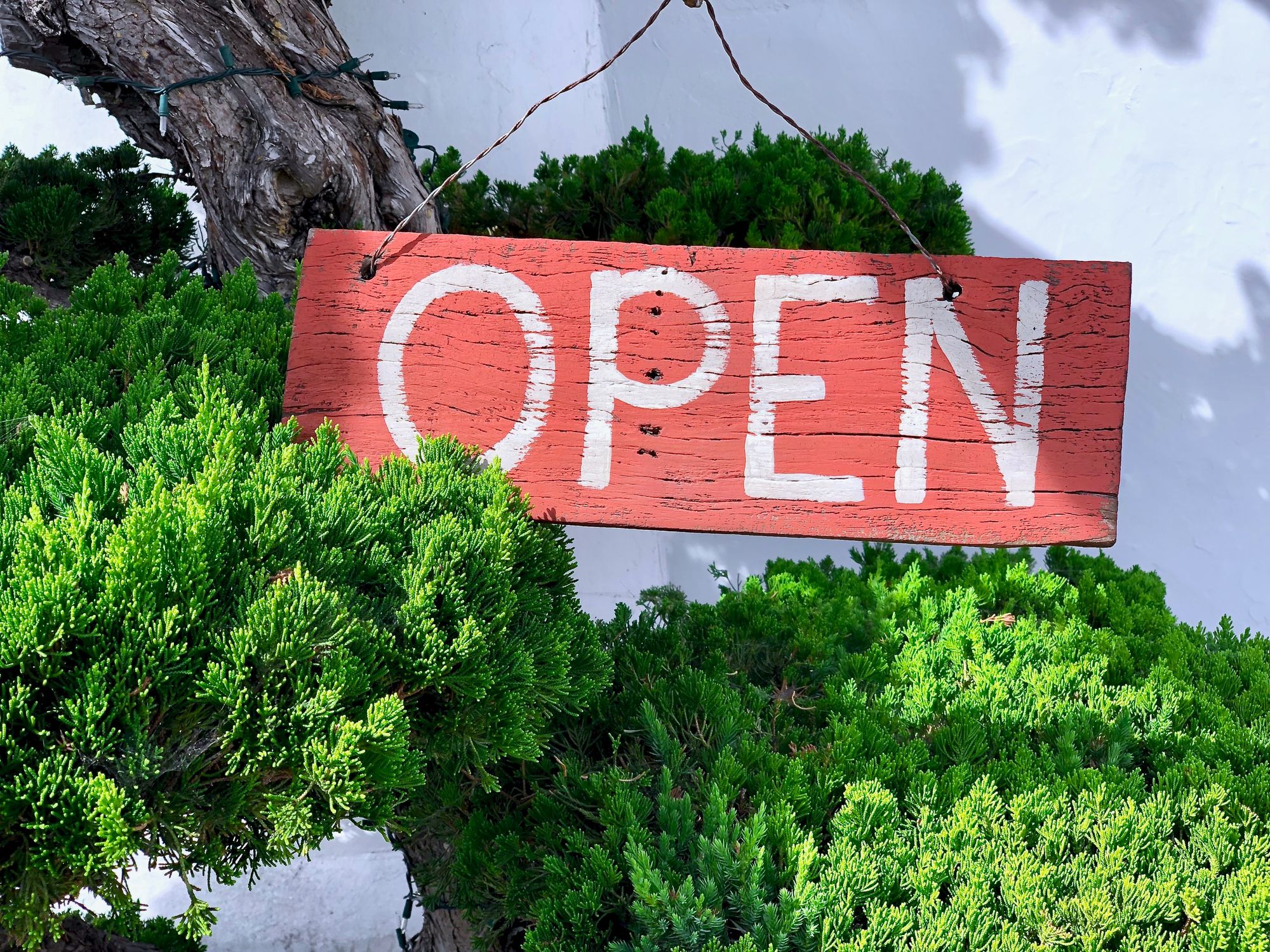Open Vs Restricted Admission In Germany
