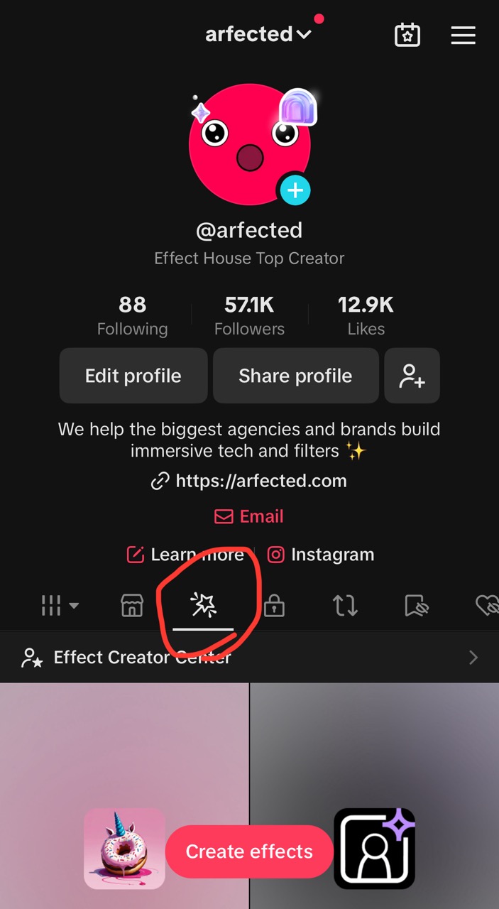 The Ultimate Guide to Branded TikTok Filters - arfected
