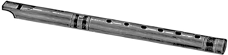 Learning the Tin Whistle: Easy Tunes Guide for Beginners