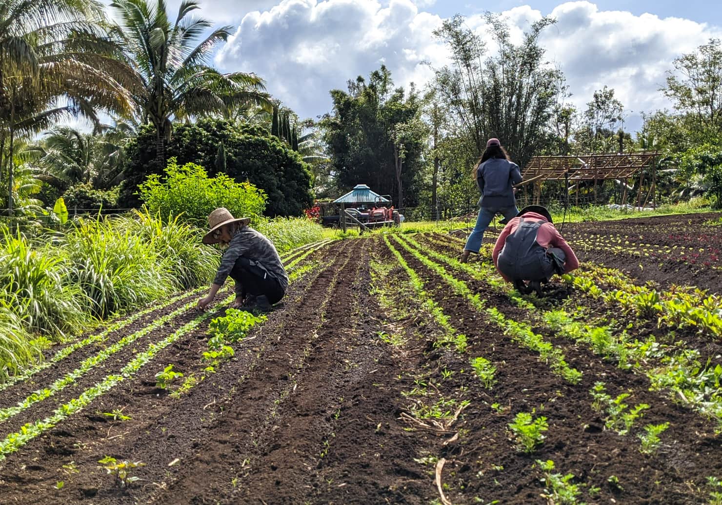 30-Day Farmer in Residency at HIP Agriculture: A Unique Off-Grid Experience