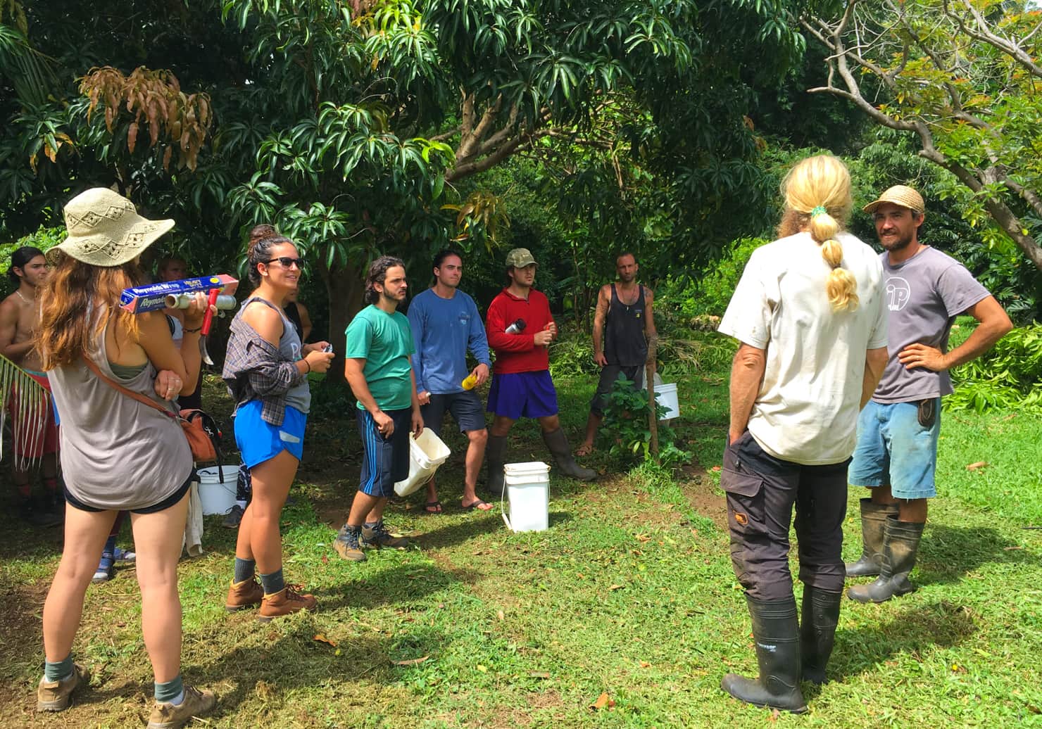 Learn to Grow with HIP Ag: Free Agricultural Workshops in Hawai'i