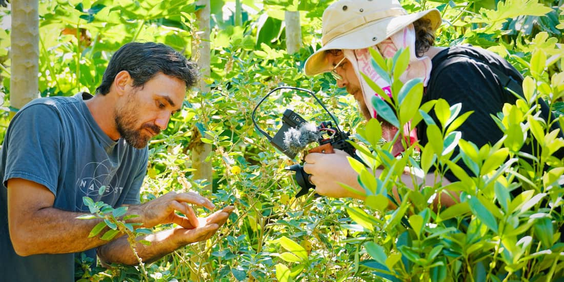 Tropical Plant Medicine | Farm 101 | Aina Lessons by HIP Agriculture
