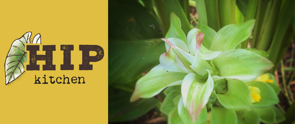 Discover the Beauty and Benefits of `Ōlena Flower - Turmeric Flower