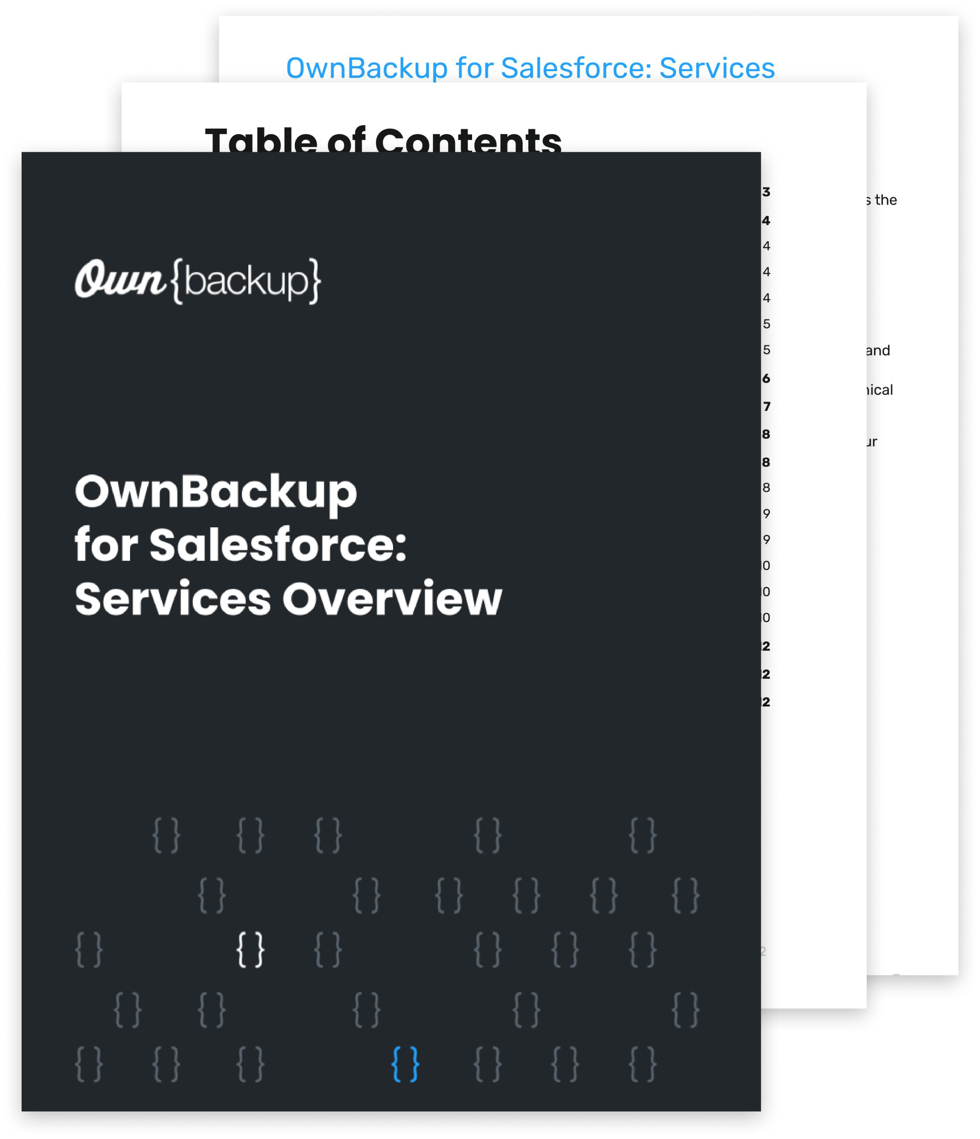 OwnBackup Corporate Site