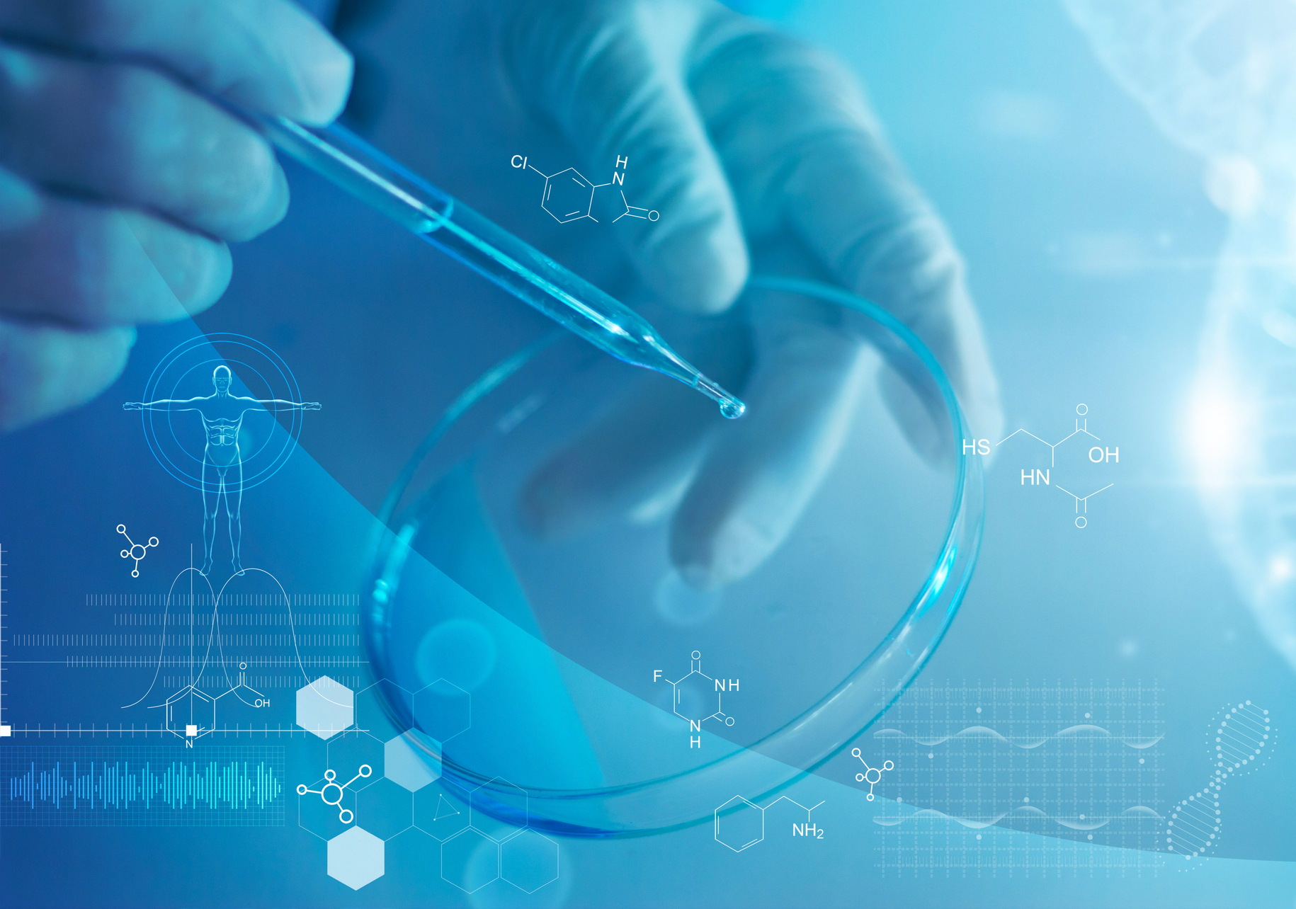 Services - Verta Life Sciences