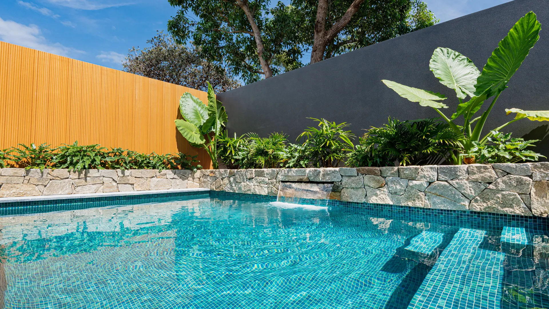 Tropical Vibe Plunge Pool in Maroubra | Transform Pools and Spas