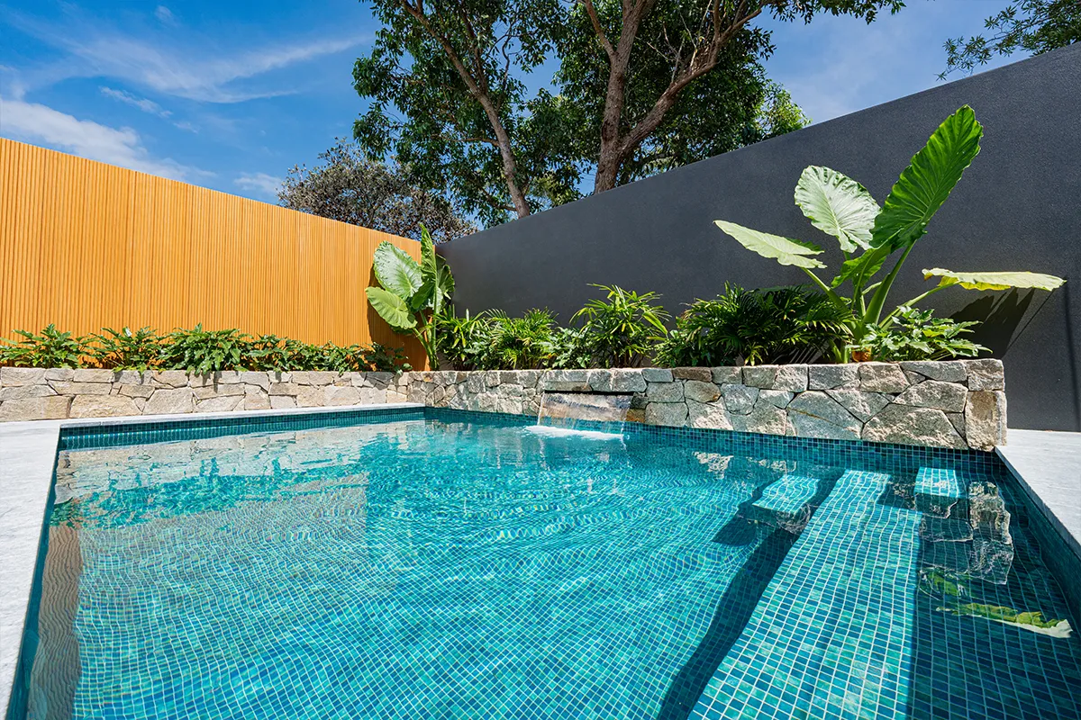 Tropical Vibe Plunge Pool in Maroubra | Transform Pools and Spas