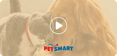 How PetSmart Achieves Engagement at 4x the Industry Average | MangoApps