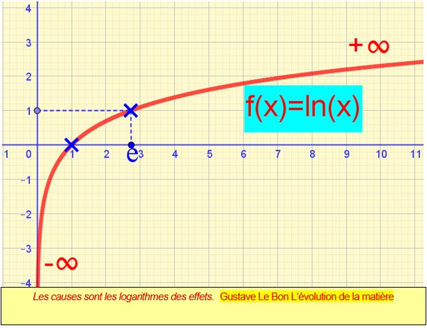 L'histoire des fonctions - Culture