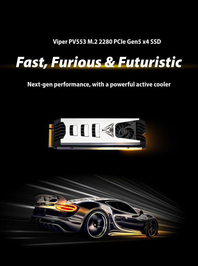PV553 M.2 2280 PCIe Gen5 x4 SSD | Viper Gaming