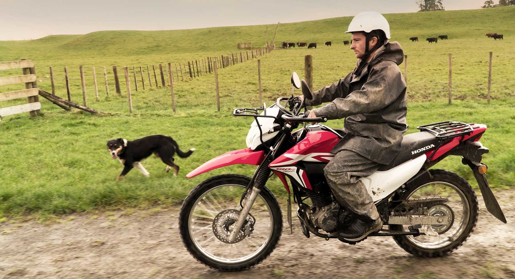 Honda Farm Motorcycles for sale at Keown Honda Wanganui