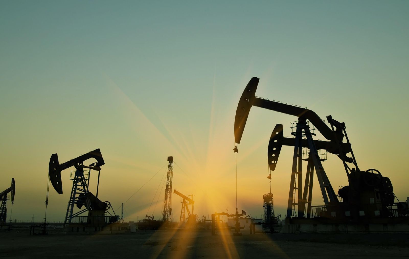 Ali & Sons Holding LLC