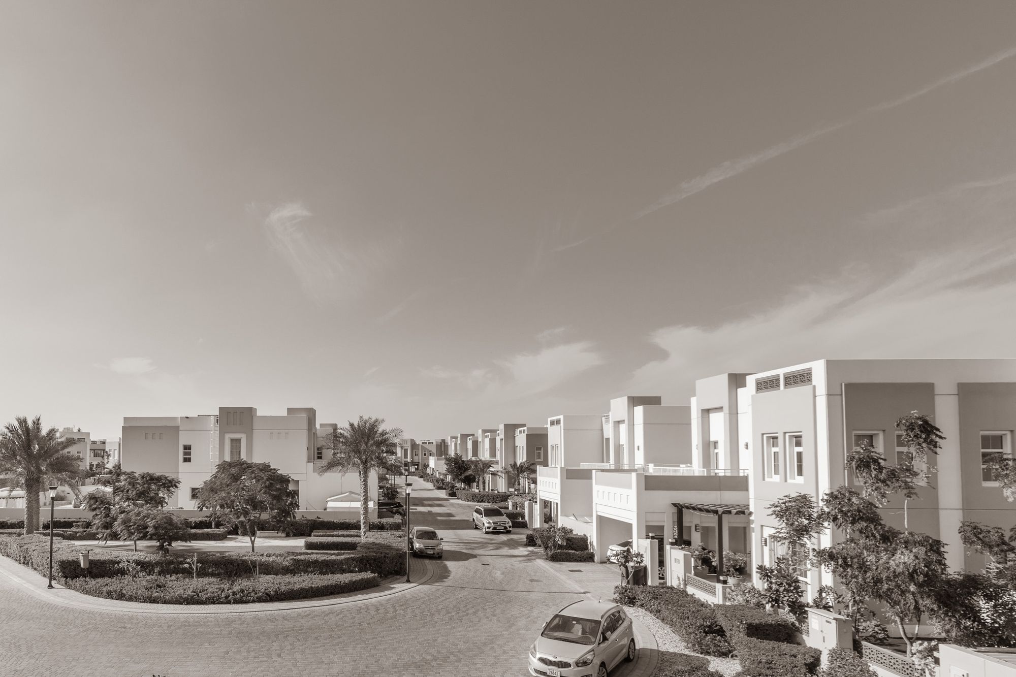 Ali & Sons | Values & History