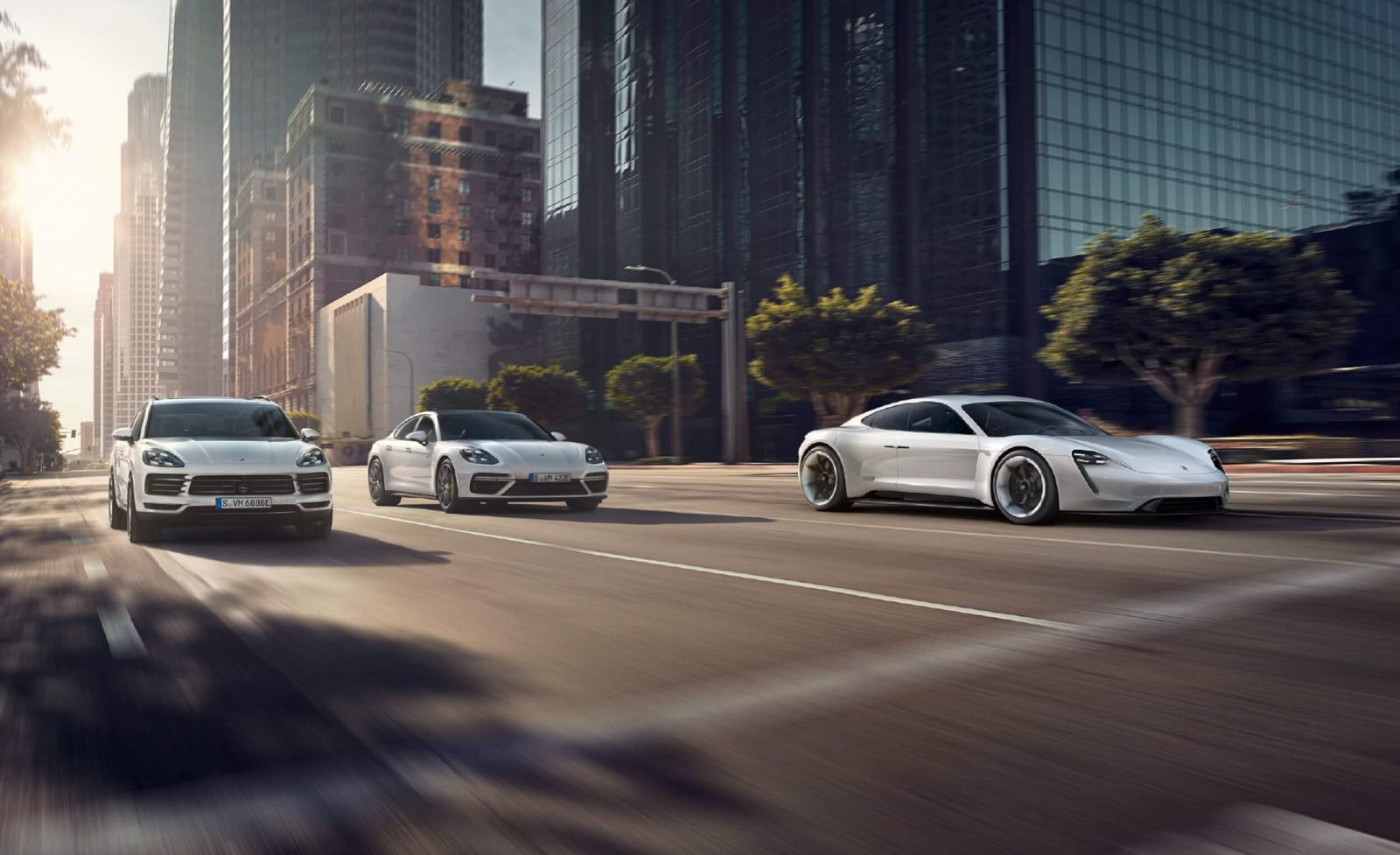 Ali & Sons | Porsche