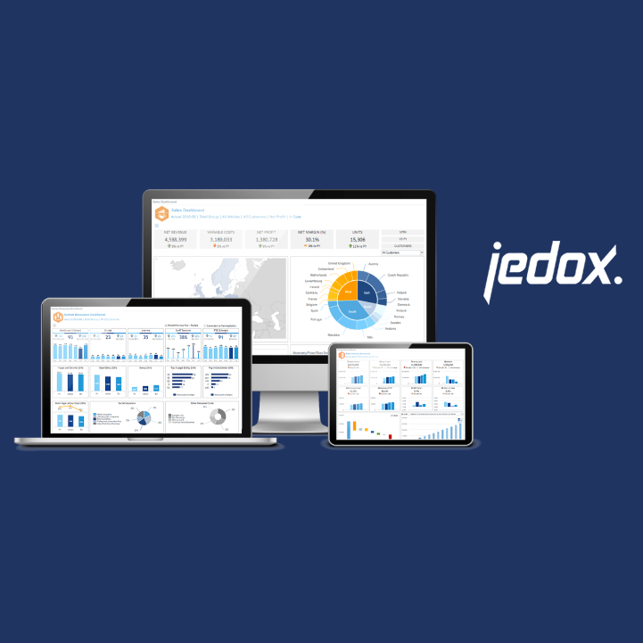 What is Jedox - Iris capital