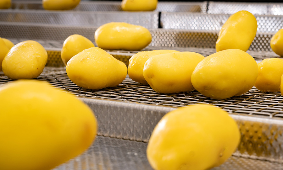 Potato industry - PIP Innovations