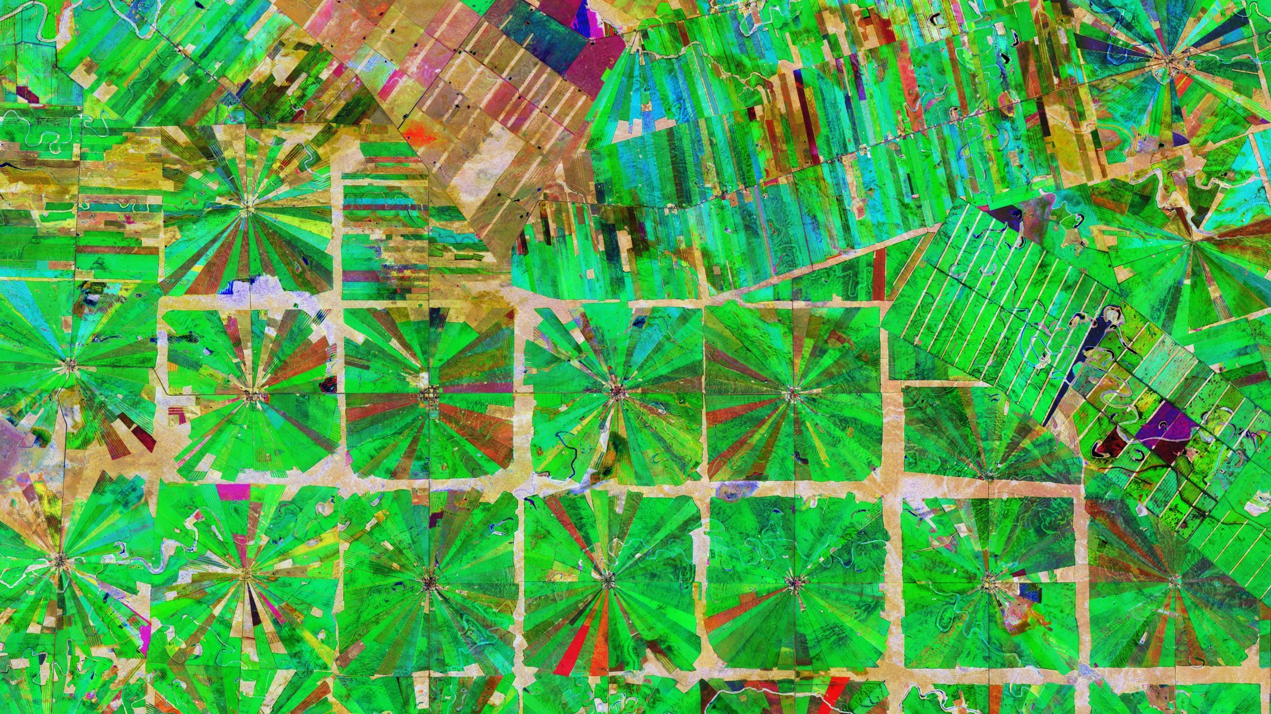 Developing Farmer-Centric Models of Data Governance