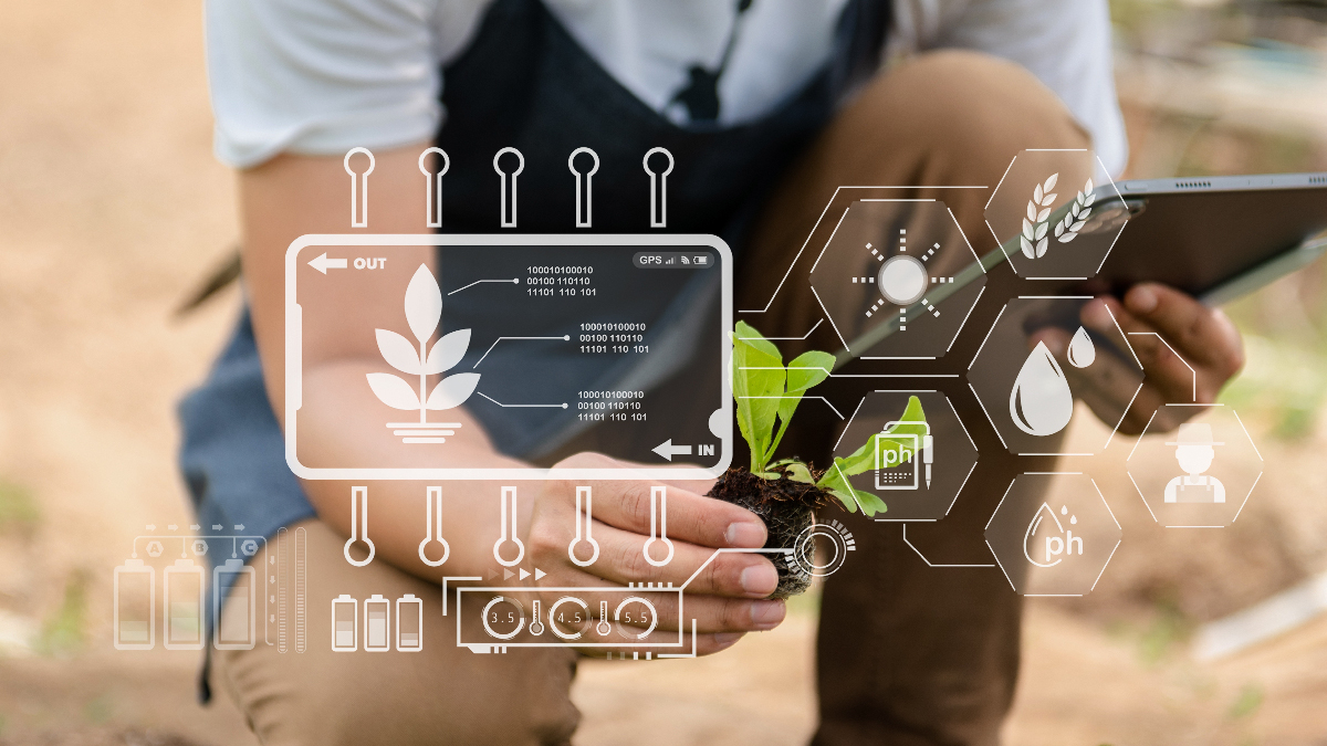 Inclusive Digital Design Toolkit: Practical guidance for Feed the ...