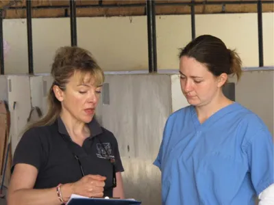 Healing for Animals | The Healing Trust