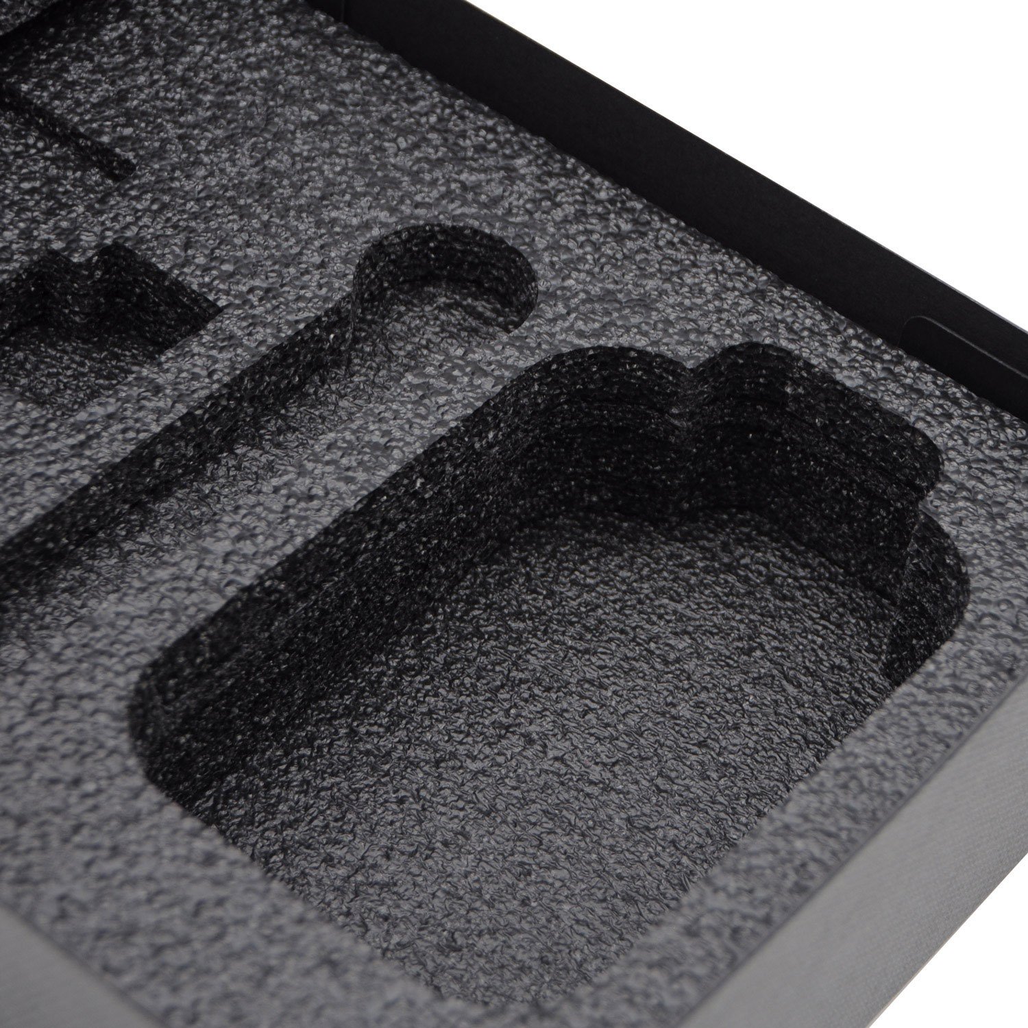 Commitment to Social & Environmental Impact | chameleon like