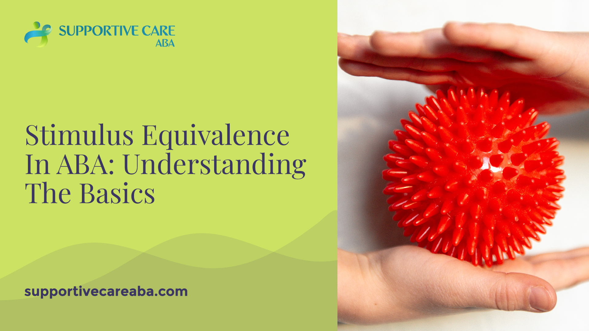 Stimulus Equivalence in ABA: Understanding the Basics