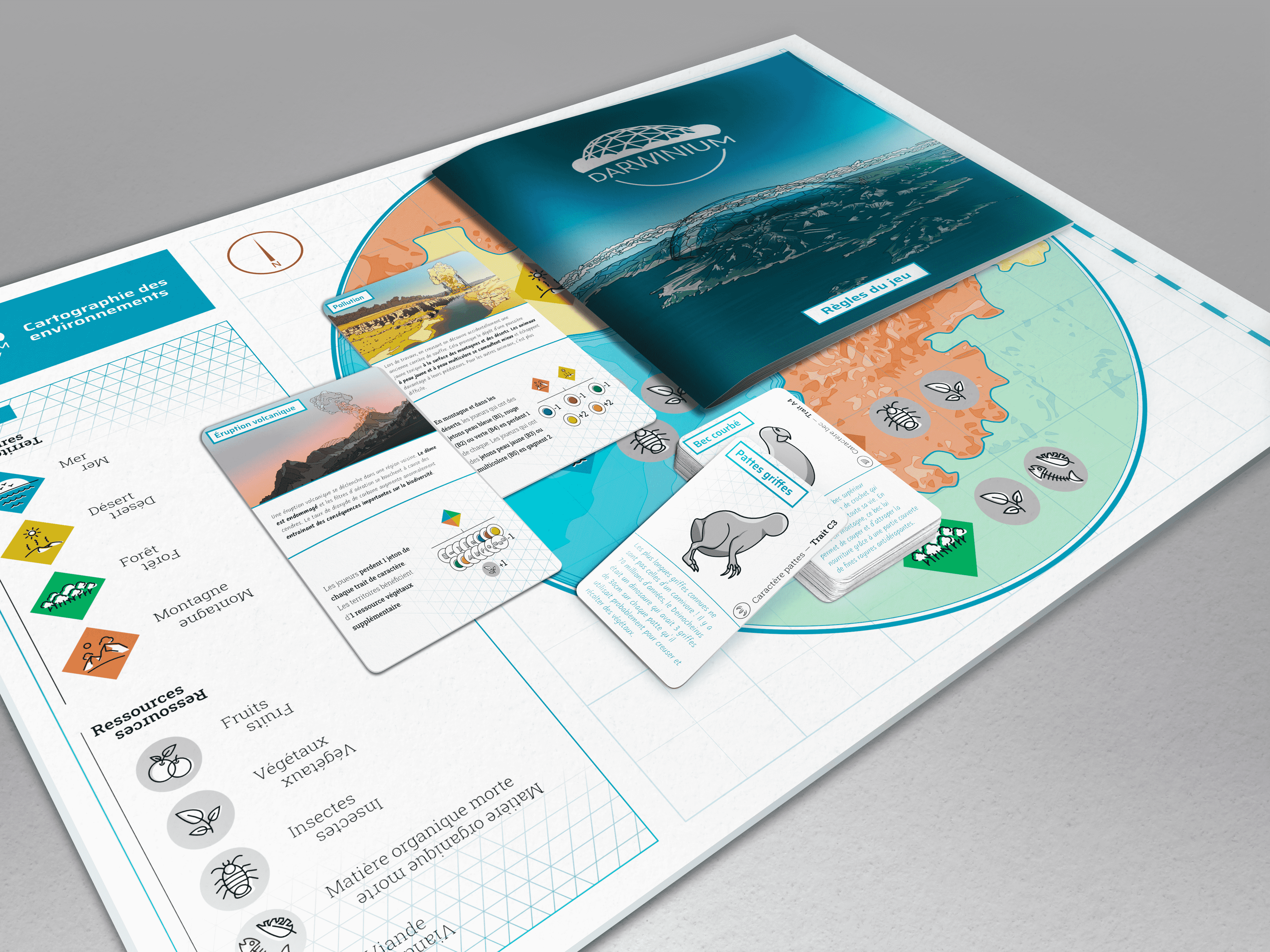 PLAYtime - Jeux sur mesure - Nos réalisations - Darwinium