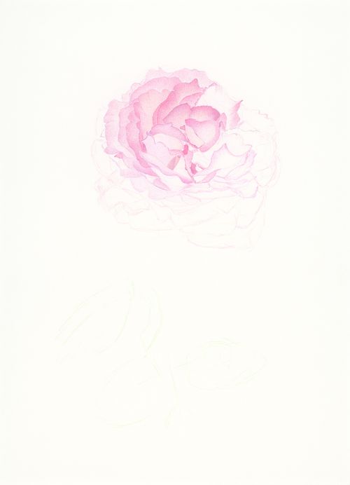 THILO WESTERMANN – Works