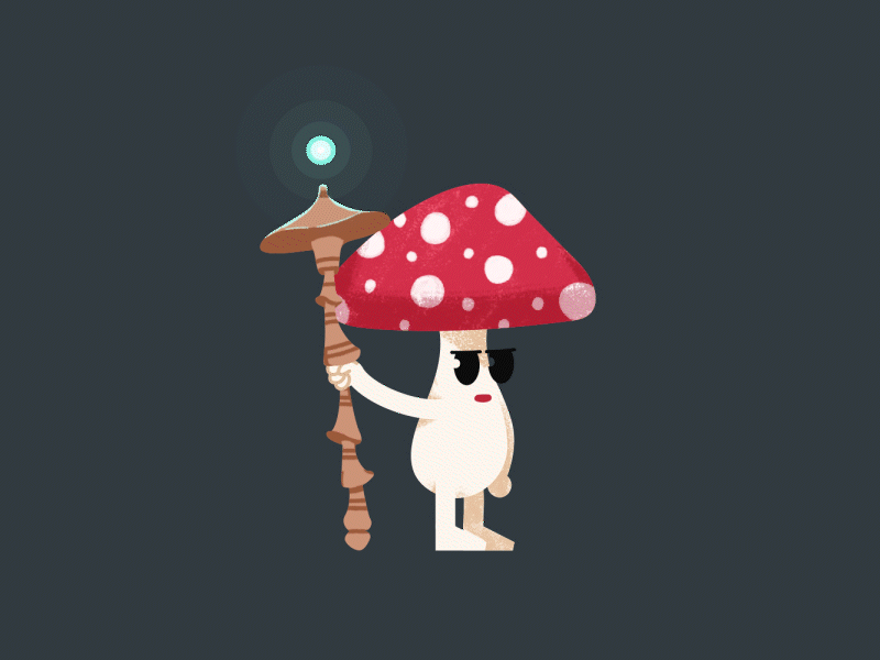 The Kingdom of Shrooms
