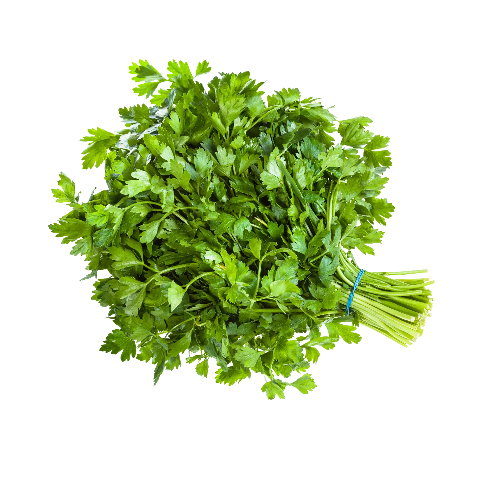 CookBook - Preview Video