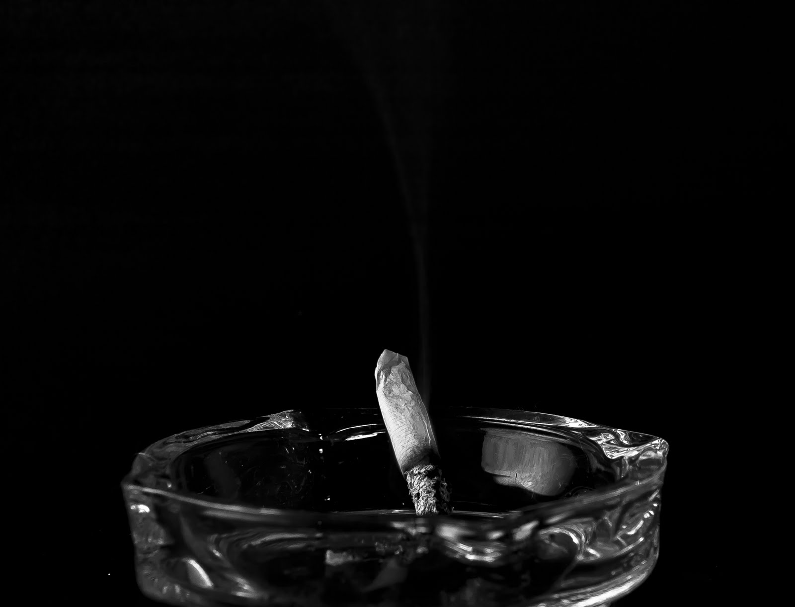 [NOUVELLE] Congénital, par David Noone