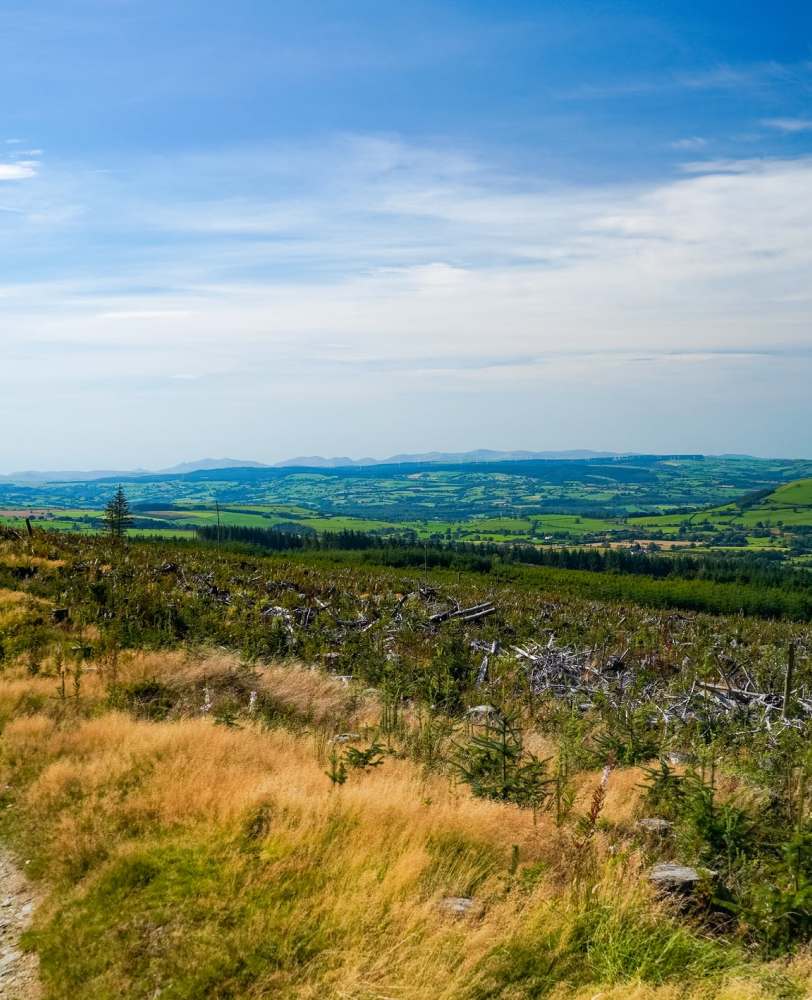 Jason Kutt Legacy Fund: Home