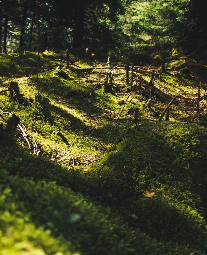 Jason Kutt Legacy Fund: Home