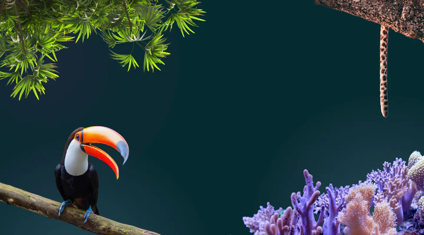 Impact Hero | Make your business a source of positive impact