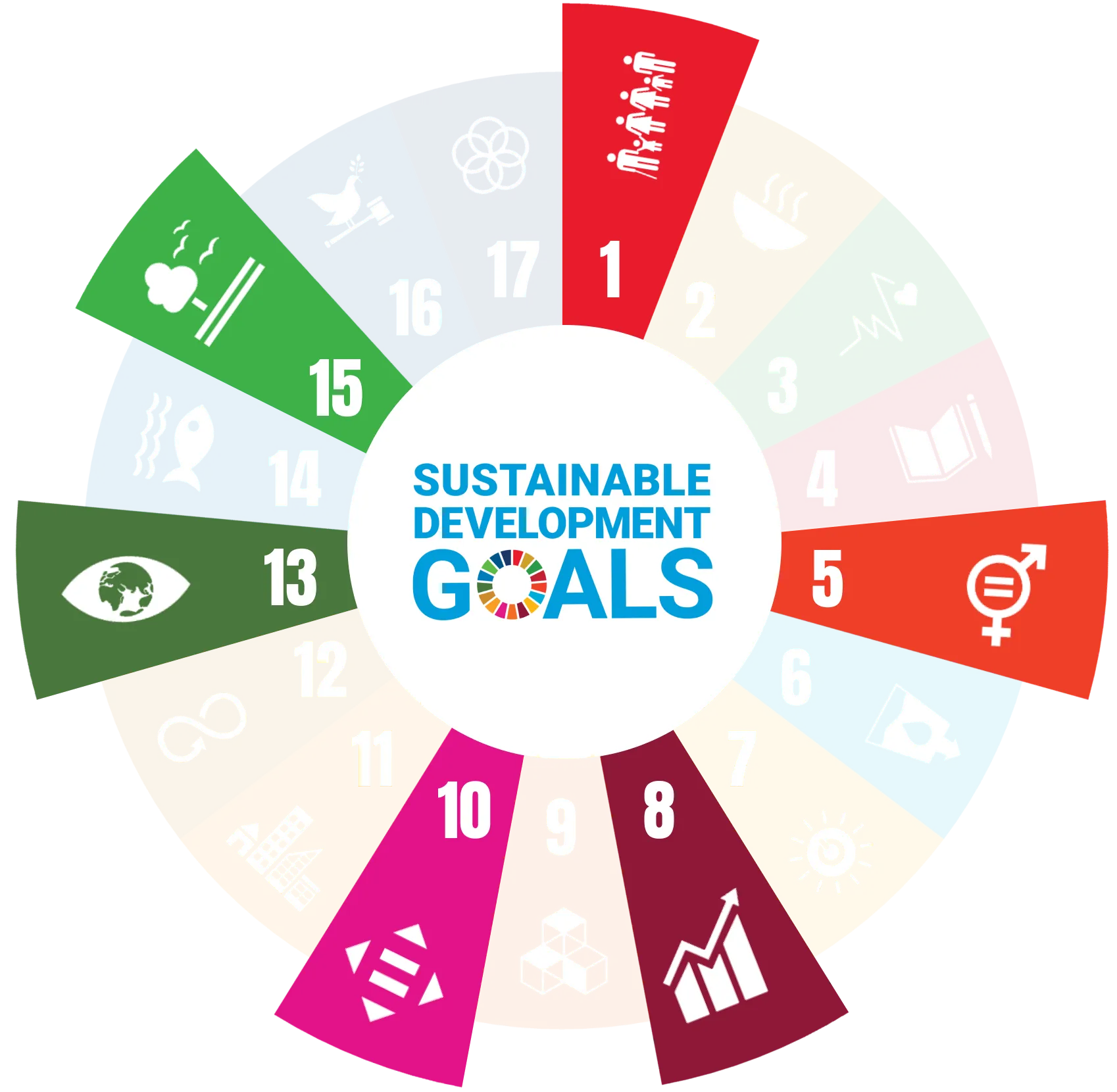 Plant Trees with ImpactHero - Cultivating a Greener Tomorrow