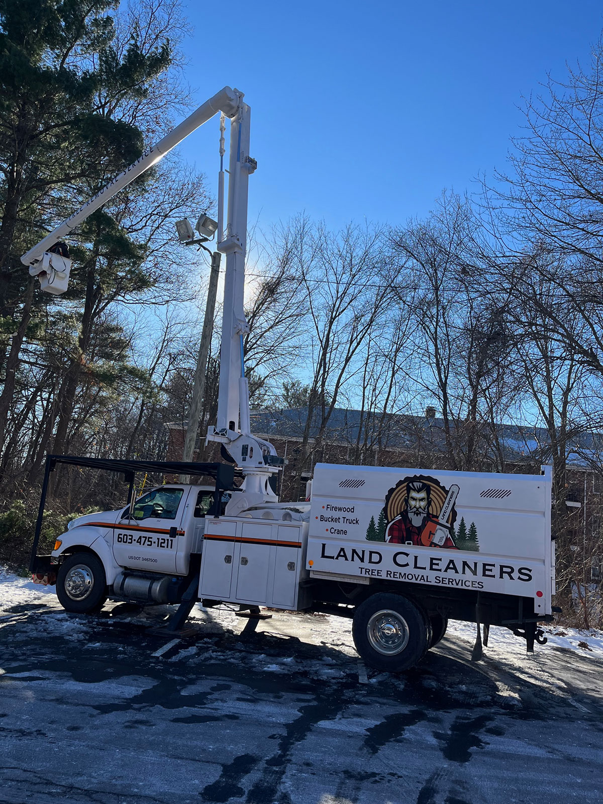Bucket Truck Tree Removal | Safe & Efficient Service