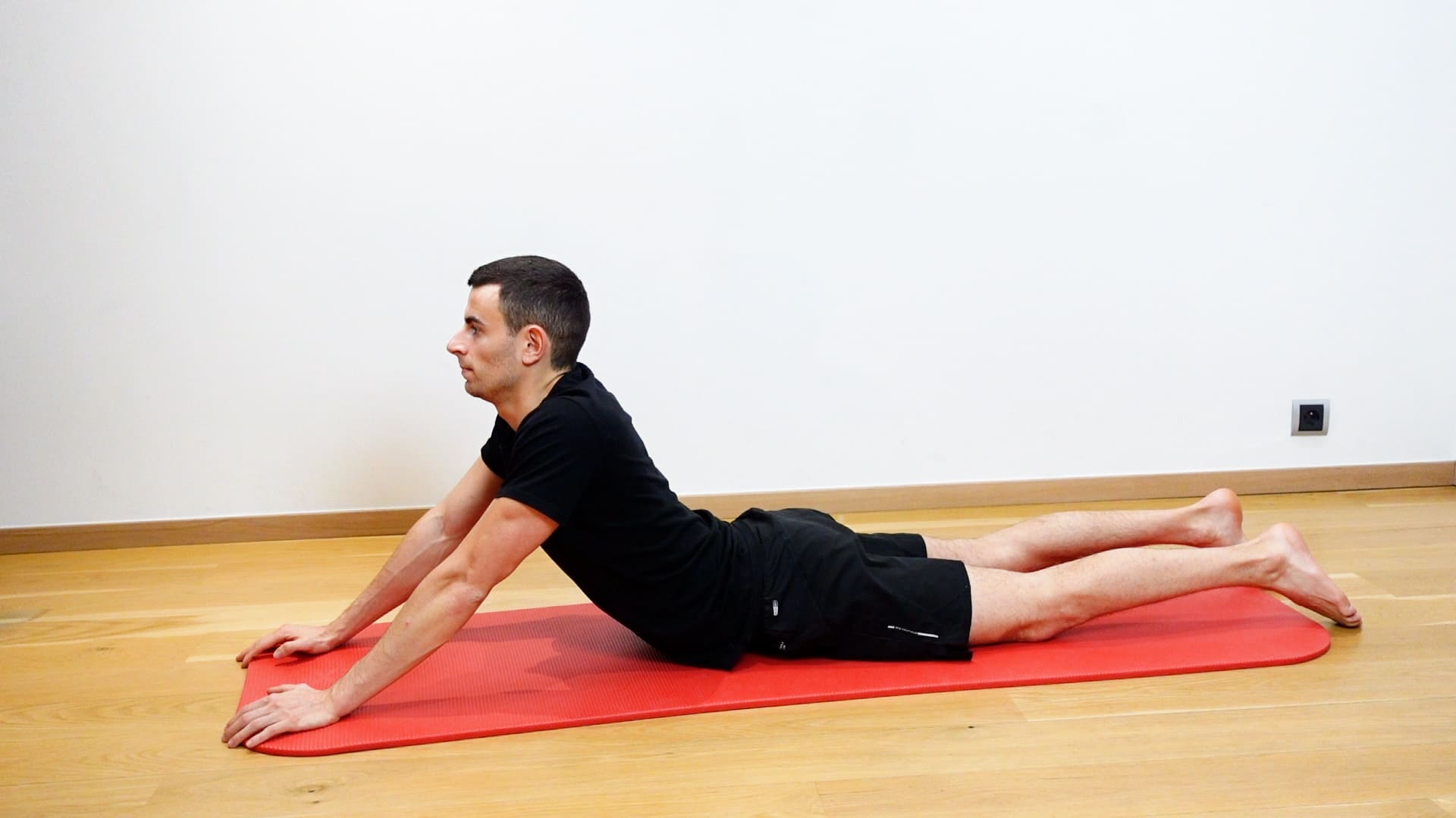 Vidéo d'exercice - Position du sphynx