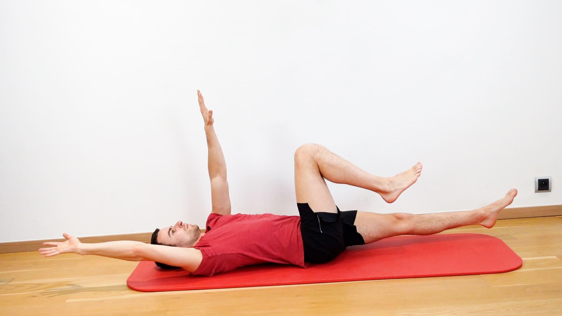 Vidéo d'exercice - Bird dog inversé