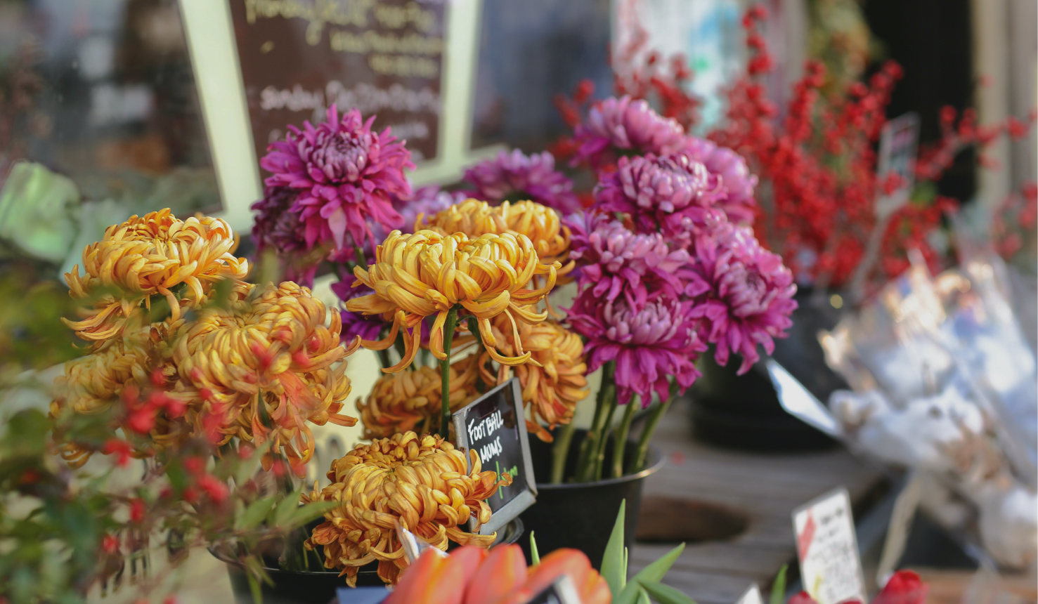 How to choose sustainable flowers