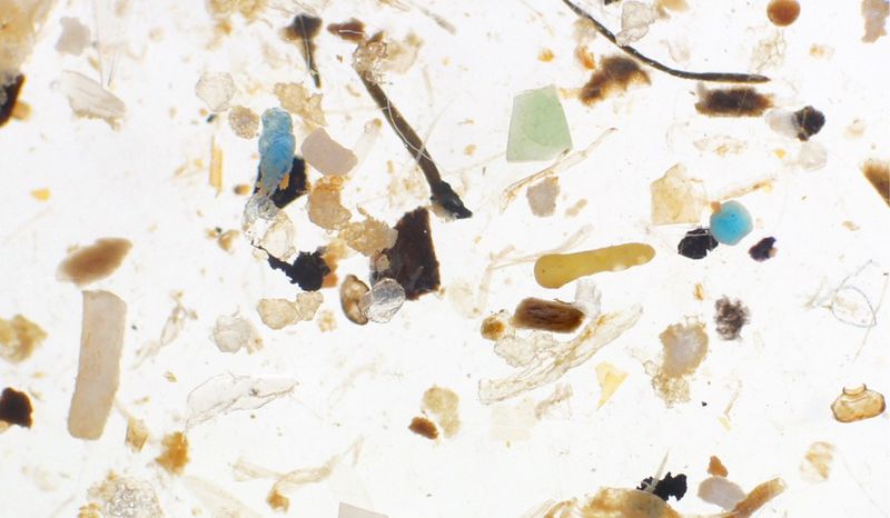 9 Ways to Avoid Microplastics at Home
