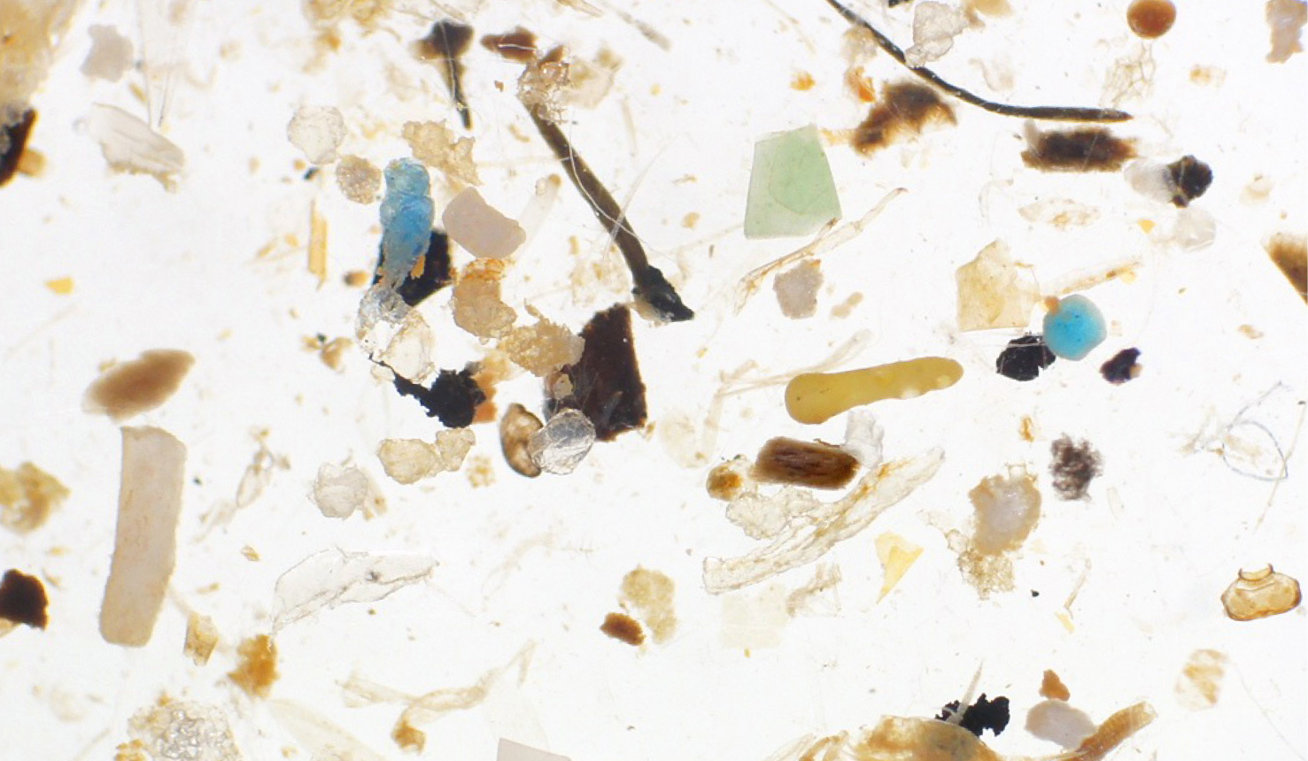 9 Ways to Avoid Microplastics at Home