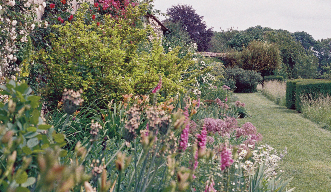 The Environmental Impact of Grass Lawns: Why It's Time for a Change