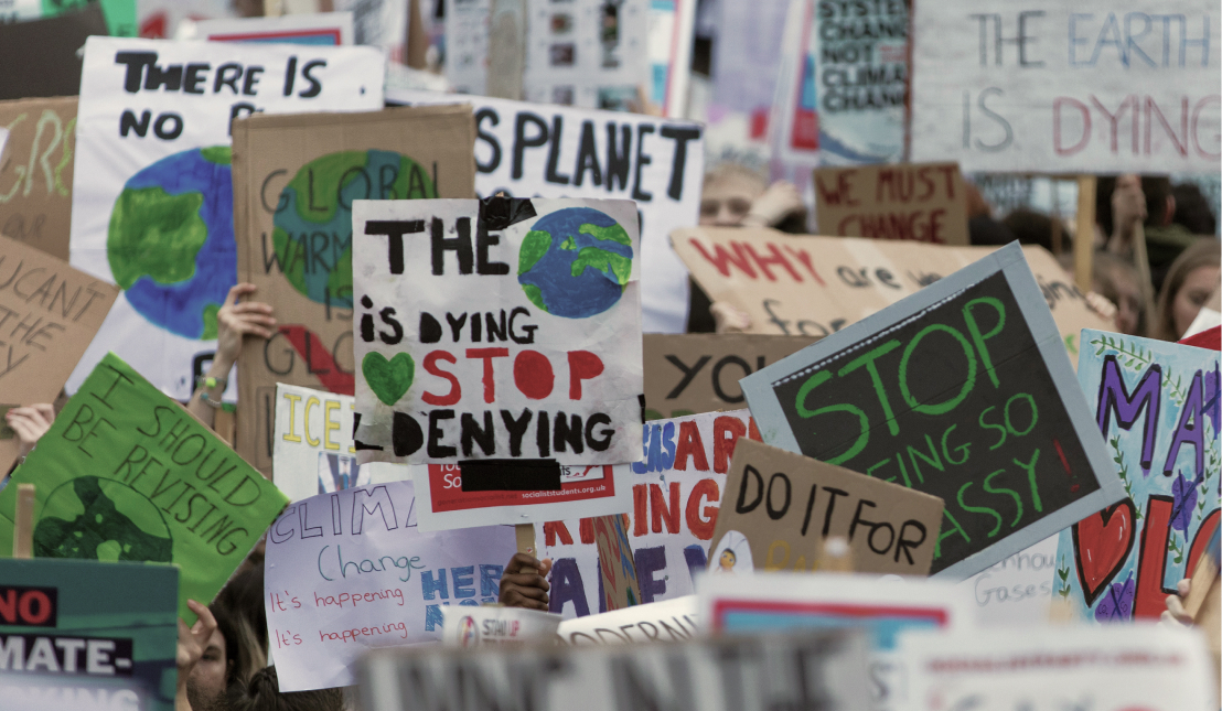 From Disruption to Transformation: The Impact of Climate Protests