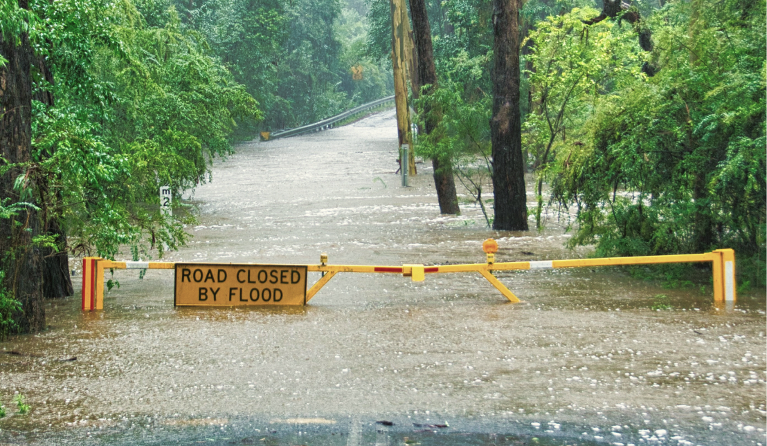 Natural Climate Resilience: Nature-Based Solutions for Flooding