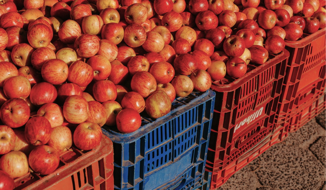 Fall Produce at the Farmers Market