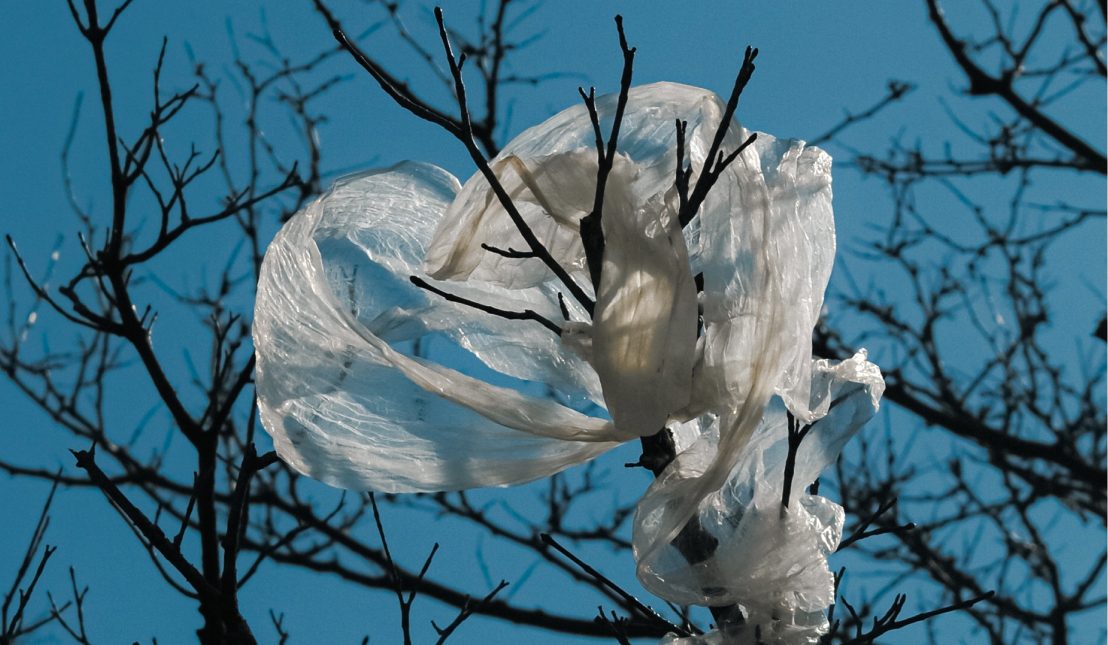 Breaking the Cycle of Plastic Pollution: Diving into the 2023 Break ...