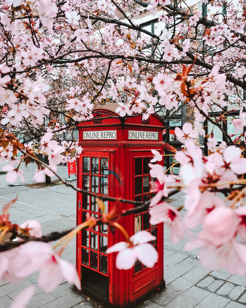 About - xendo - solving the IOSS Problem