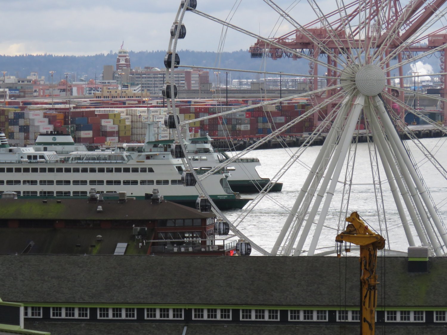 Conrad G. | Youth in Focus