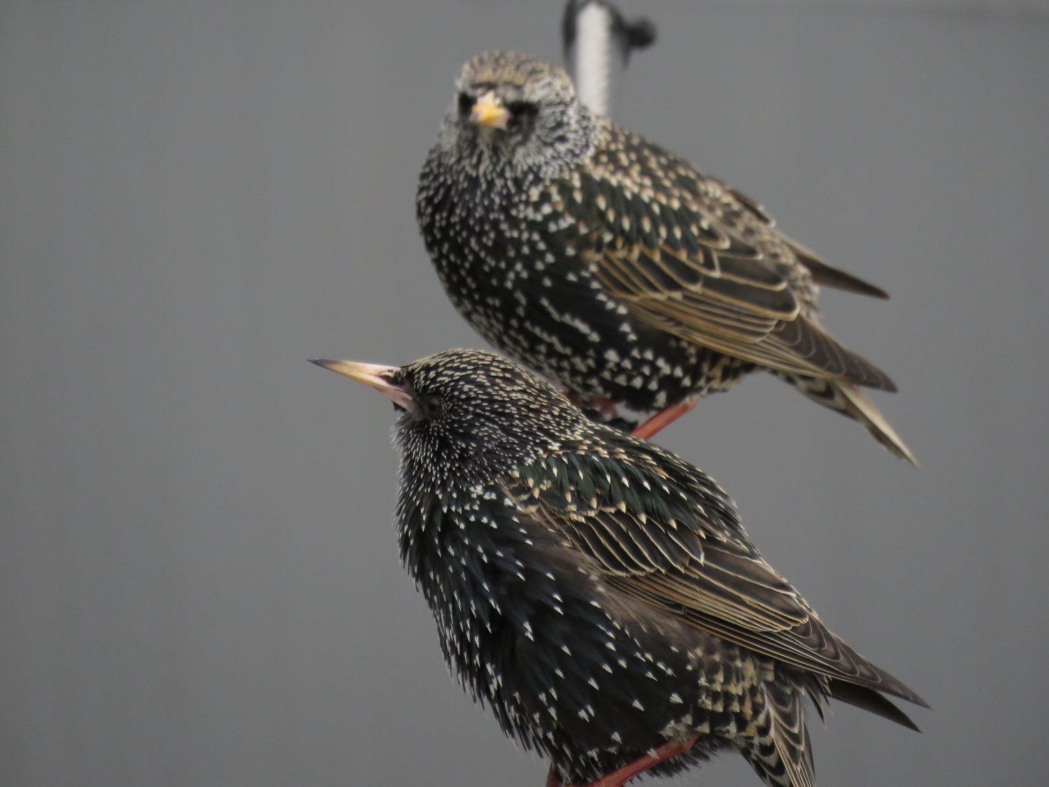 Conrad G. | Youth in Focus