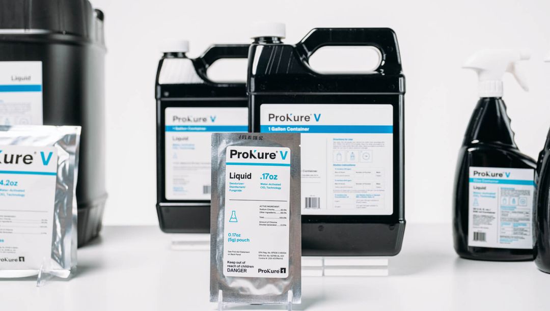 Projects | BrandLoyal